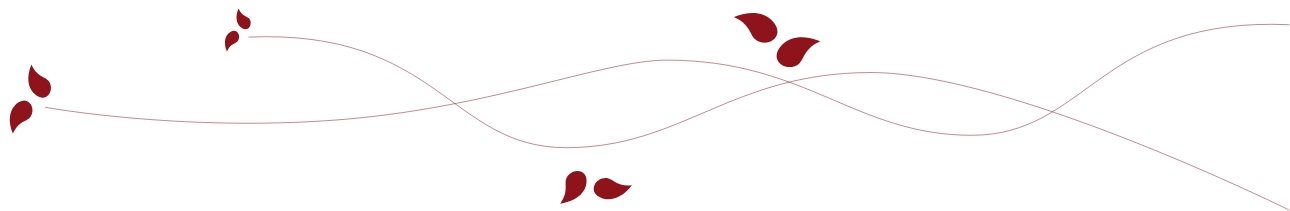 Smakro Raukšlių Korekcija | Estetinės Medicinos Klinika | emklinika.lt